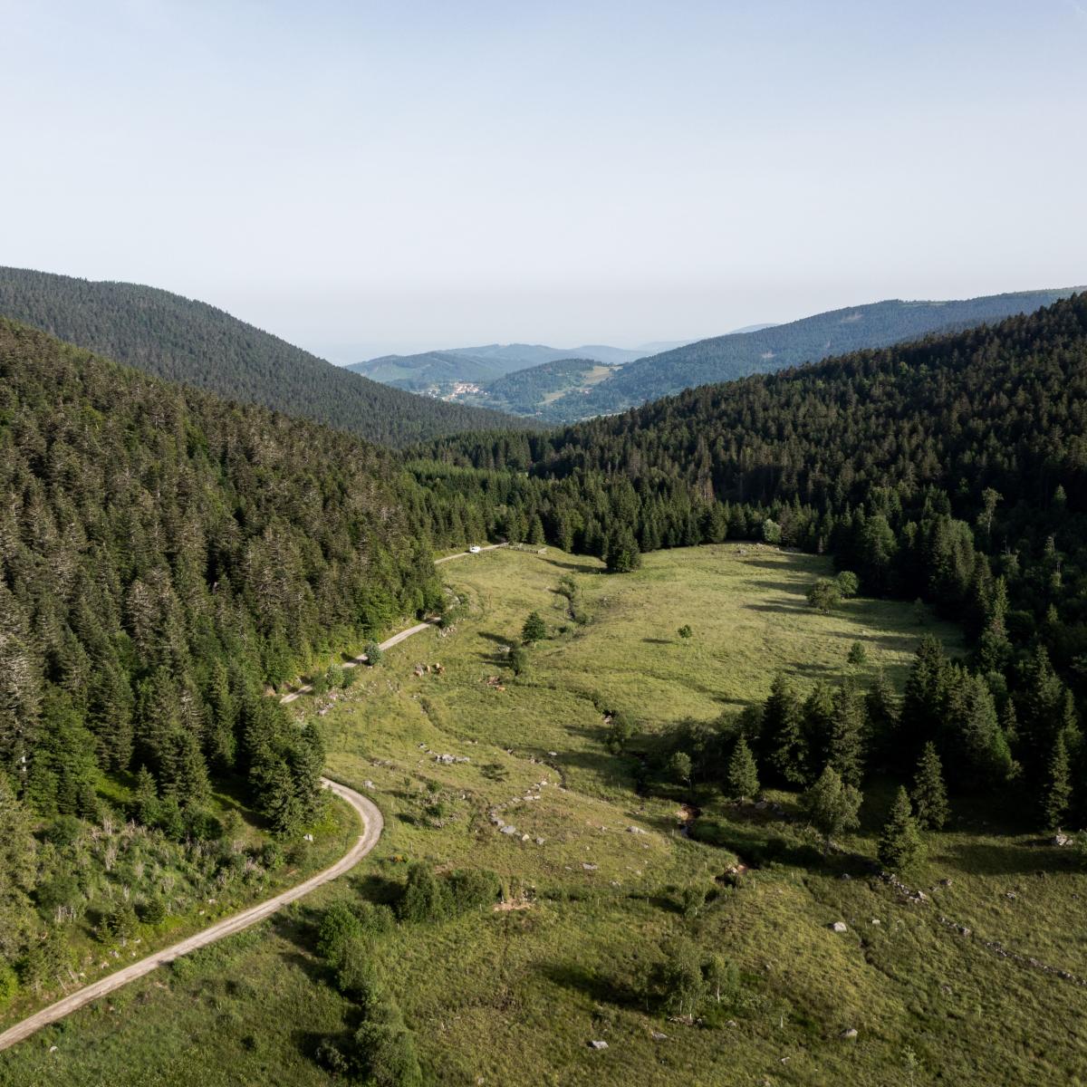 Livradois-Forez Regional Natural Park in Auvergne | Vacances en ...